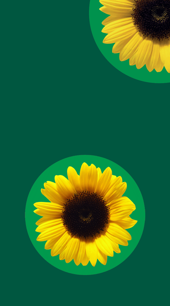 Non-visible disabilities (group) - 26 January 2026 (ENG)