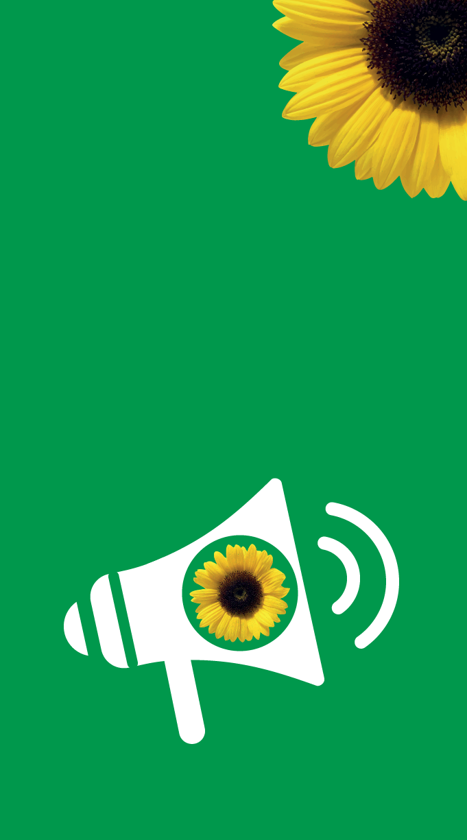 Sunflower training (30 minutes)