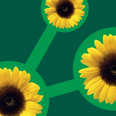 WELKOM BIJ Hidden Disabilities Sunflower scheme Onze wereldwijde partners