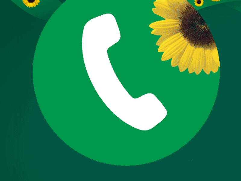 Putting Sunflower Telephone Lines into practice