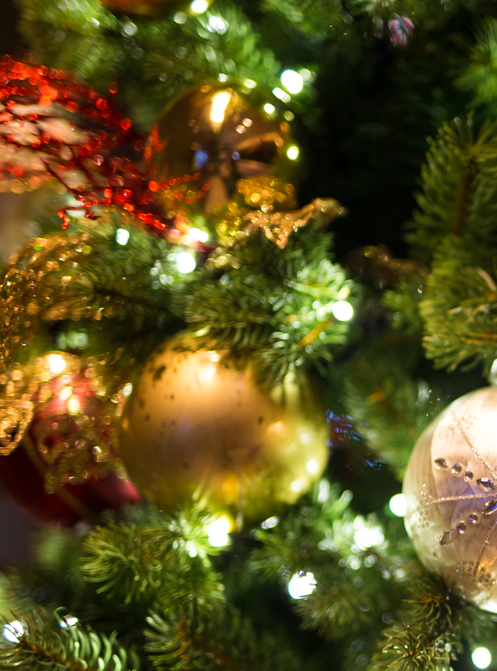 Christmas Carol Concert