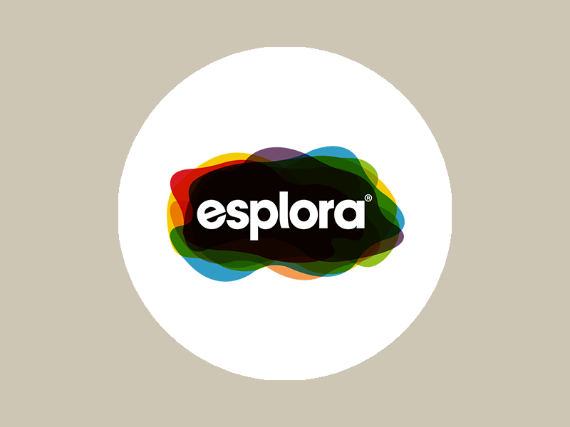 Esplora Hidden Disabilities Sunflower