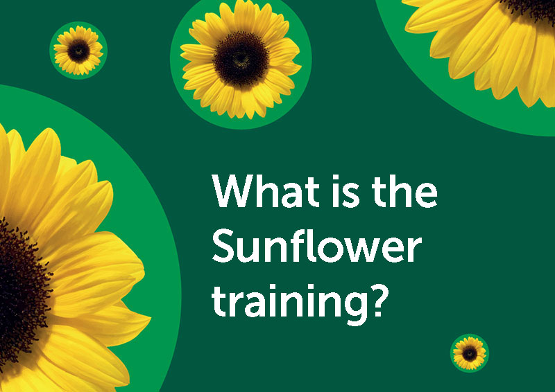 Sunflower training