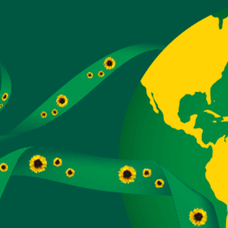 Supporting people with non-apparent disabilities (CA)