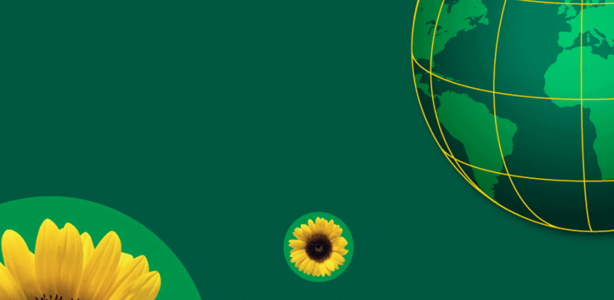 A symbol for non-visible disabilities, also known as hidden ...