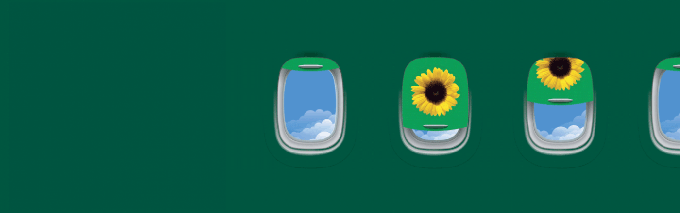 Aena's Invisible Disability Badge and the Sunflower