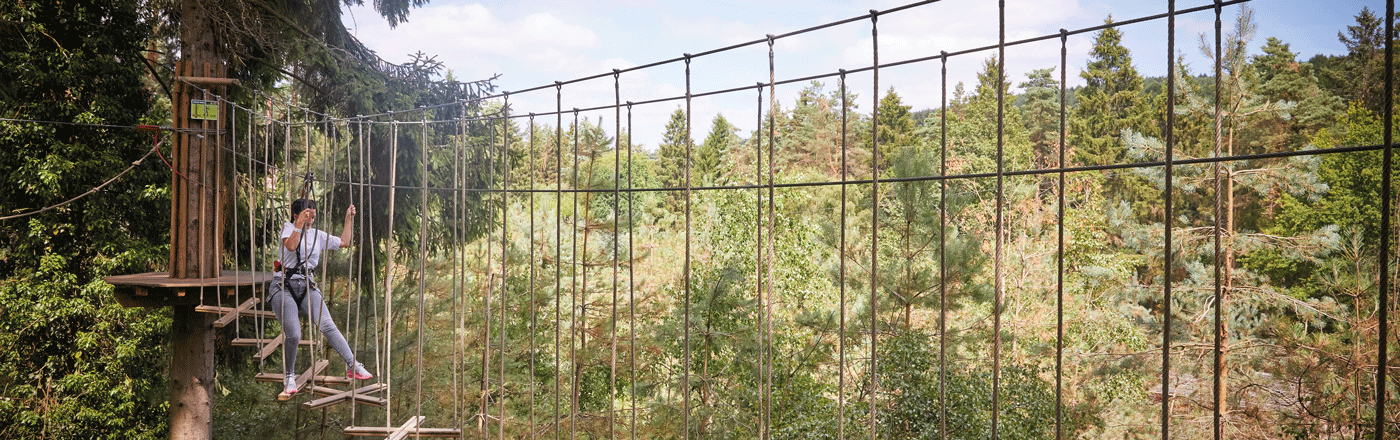 Go Ape Hidden Disabilities Sunflower member