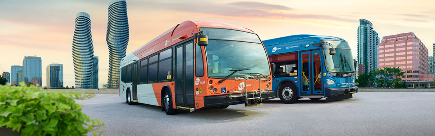 MiWay Municipal Transit Agency Joins the Sunflower