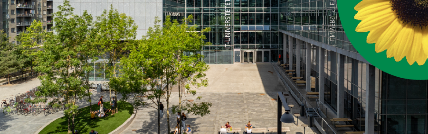 IT University of Copenhagen joins the Sunflower Programme