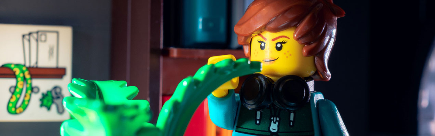 The LEGO Group joins Hidden Disabilities Sunflower