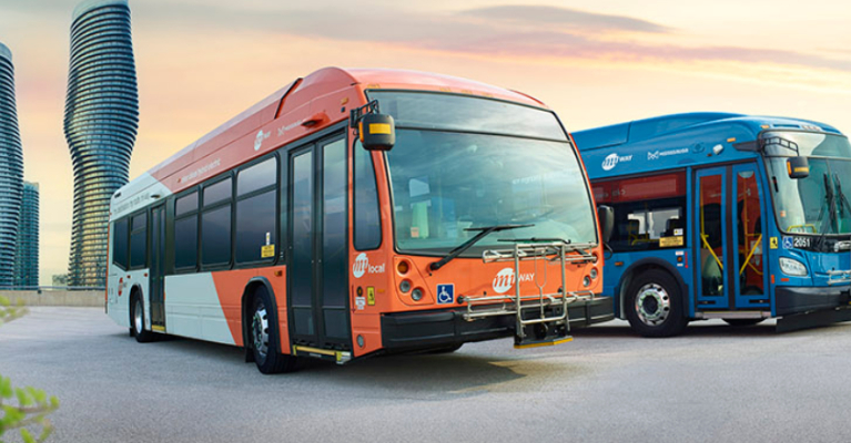 MiWay Municipal Transit Agency Joins the Sunflower