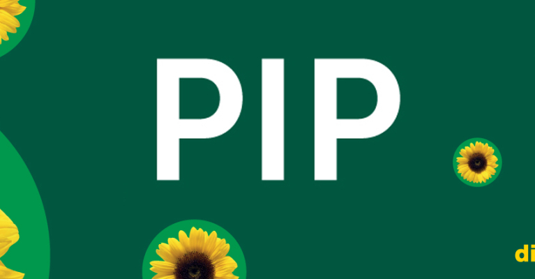 Navigating PIP: a guide