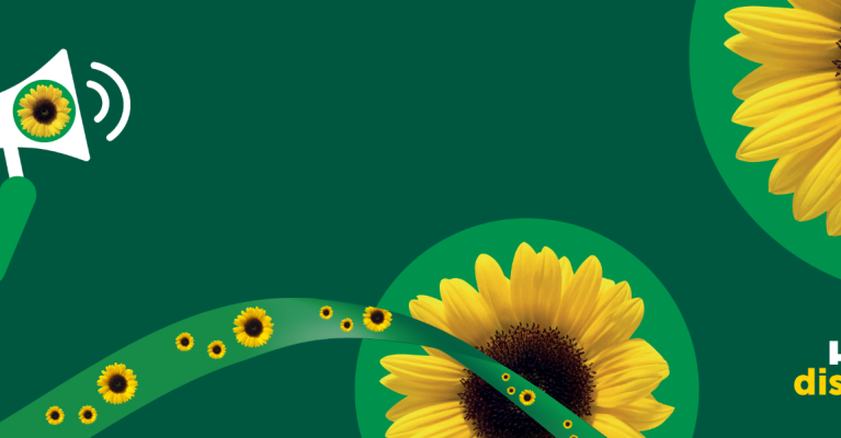 Sunflower training (exclusive)