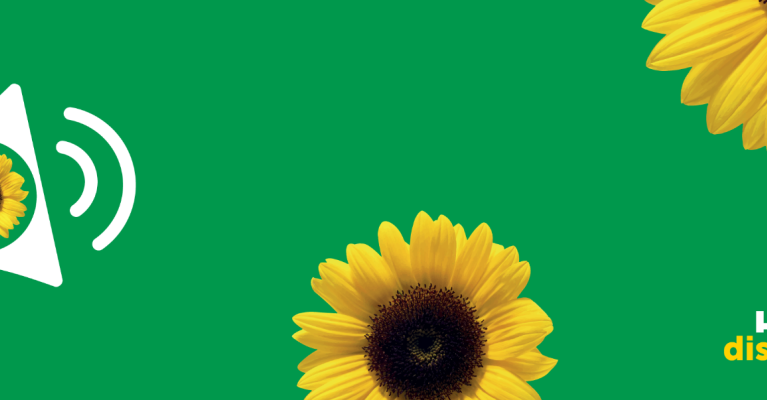 Sunflower training (30 minutes)