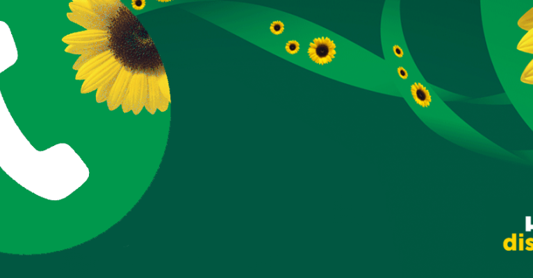 Putting Sunflower Telephone Lines into practice