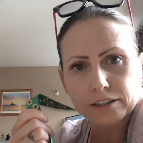 Sunflower Conversations with Maria Cook