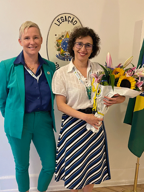 It's the law in Brazil: Hidden Disabilities Sunflower